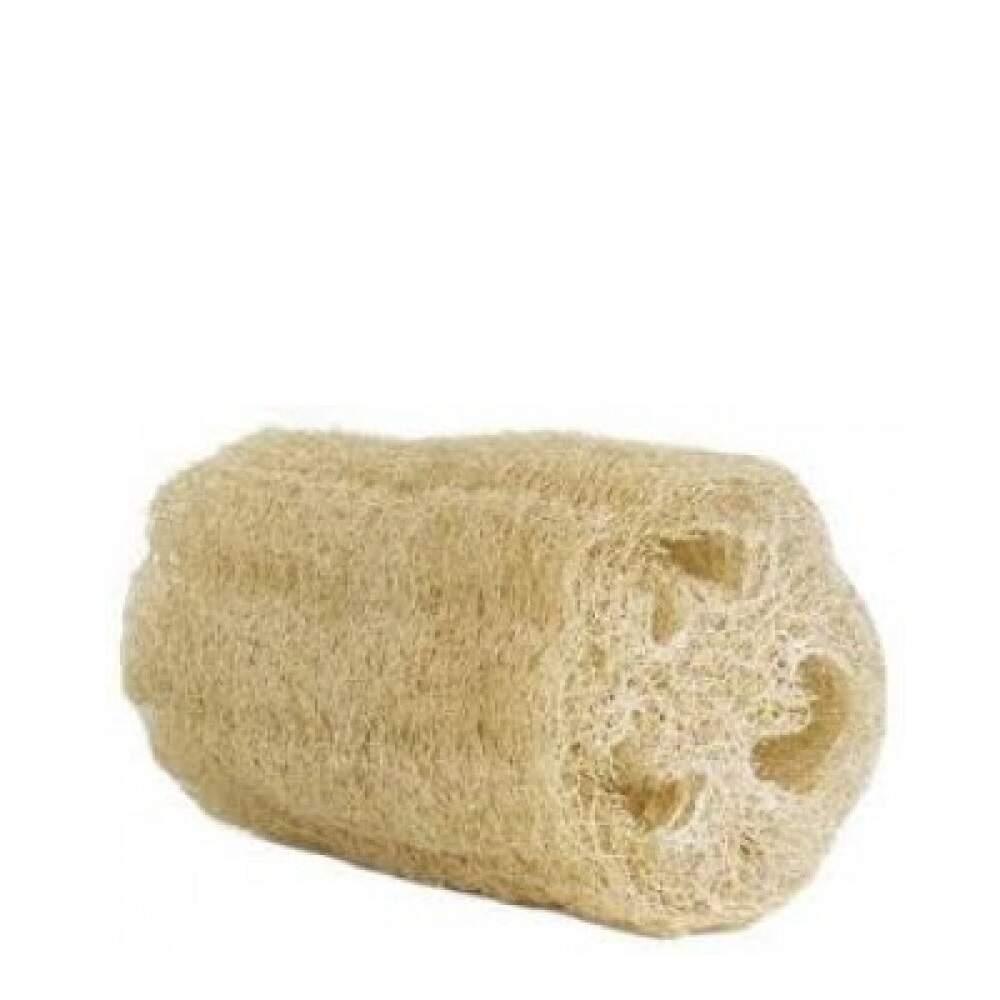 Bucha Vegetal Natural Pedaço Ricca com 1 Unidade - Nivele | MarketPlace ...